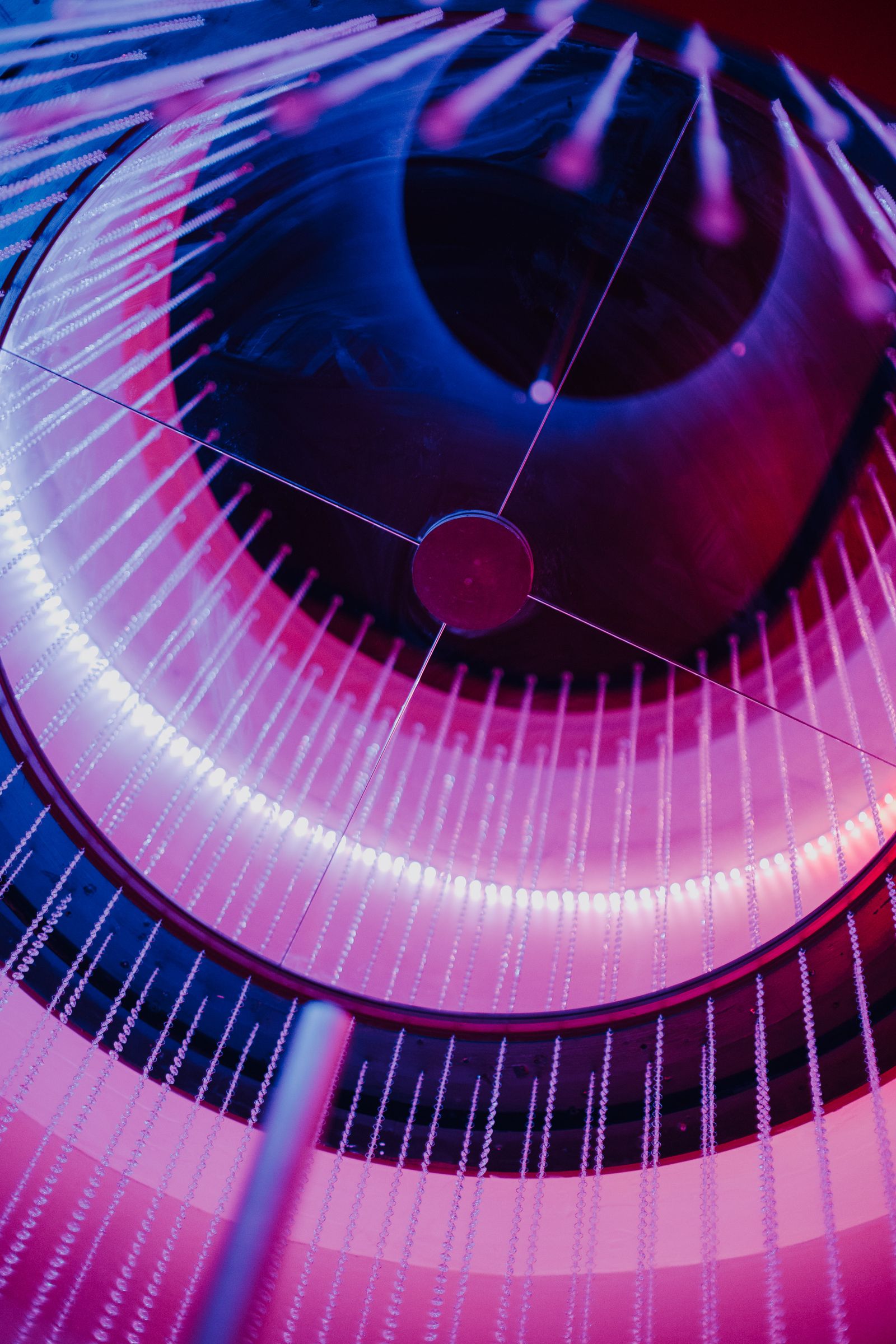 Purple Club - Vienna